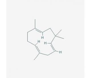 α-Humulene | CAS 6753-98-6 | SCBT - Santa Cruz Biotechnology