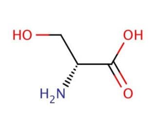 D-Serine | CAS 312-84-5 | SCBT - Santa Cruz Biotechnology
