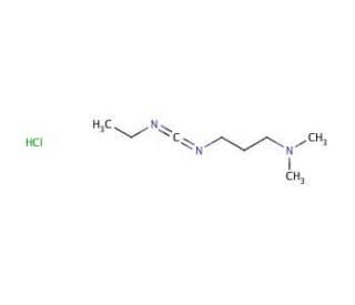 EDC hydrochloride | CAS 25952-53-8 | SCBT - Santa Cruz Biotechnology
