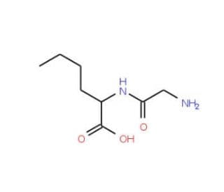 Glycyl-DL-norleucine | CAS 1504-41-2 | SCBT - Santa Cruz Biotechnology