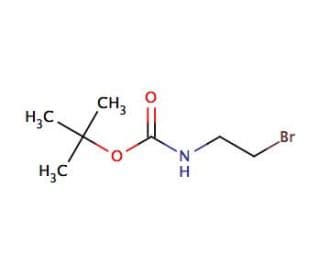 N-t-Boc-2-bromoethylamine | CAS 39684-80-5 | SCBT - Santa Cruz ...